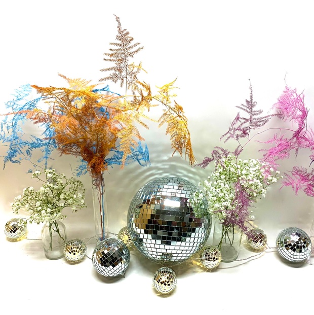 hyra discokula 10cm - rentevent